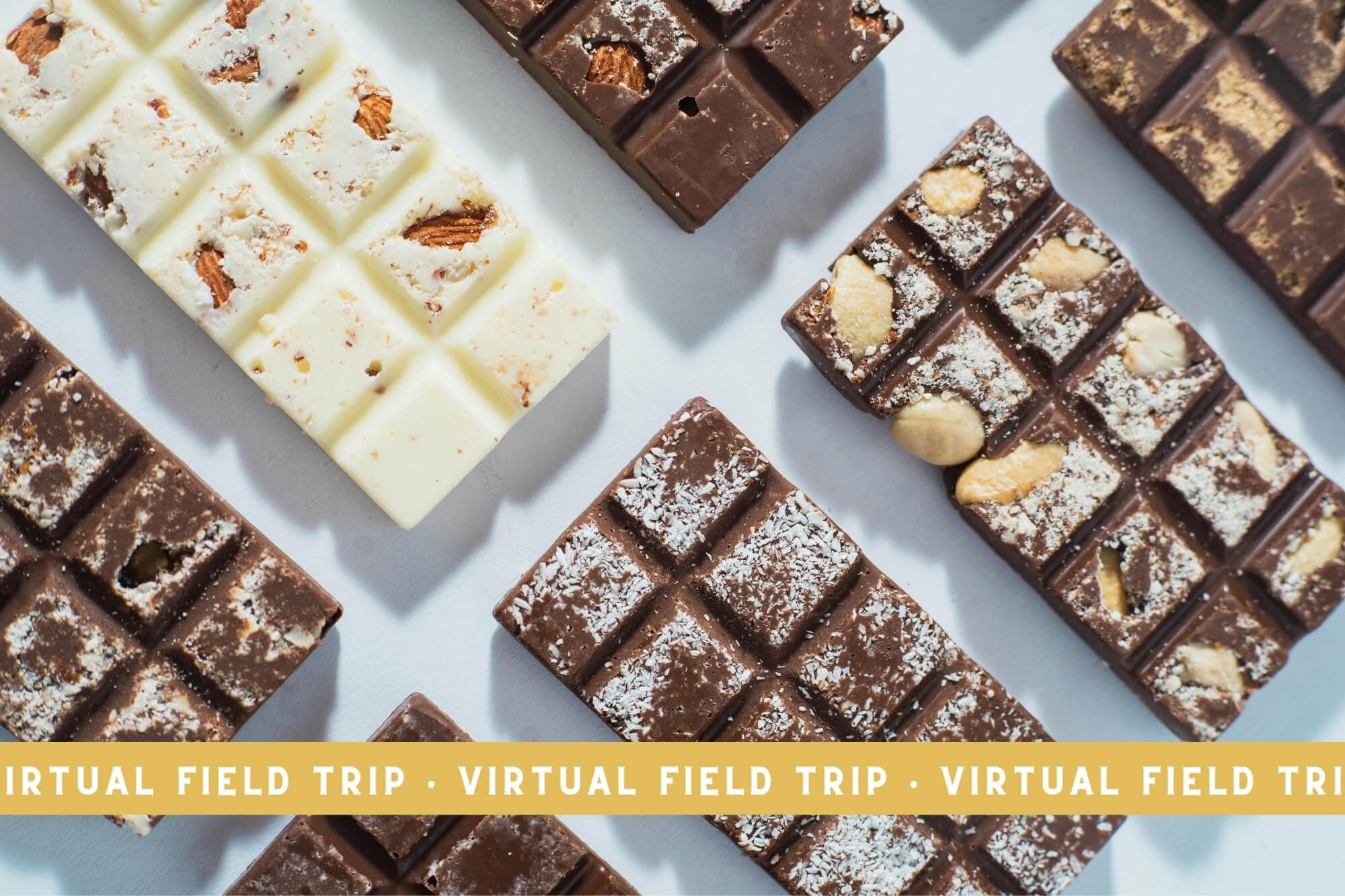 History Virtual Field Trip: The Story of Chocolate Bars & Milton ...