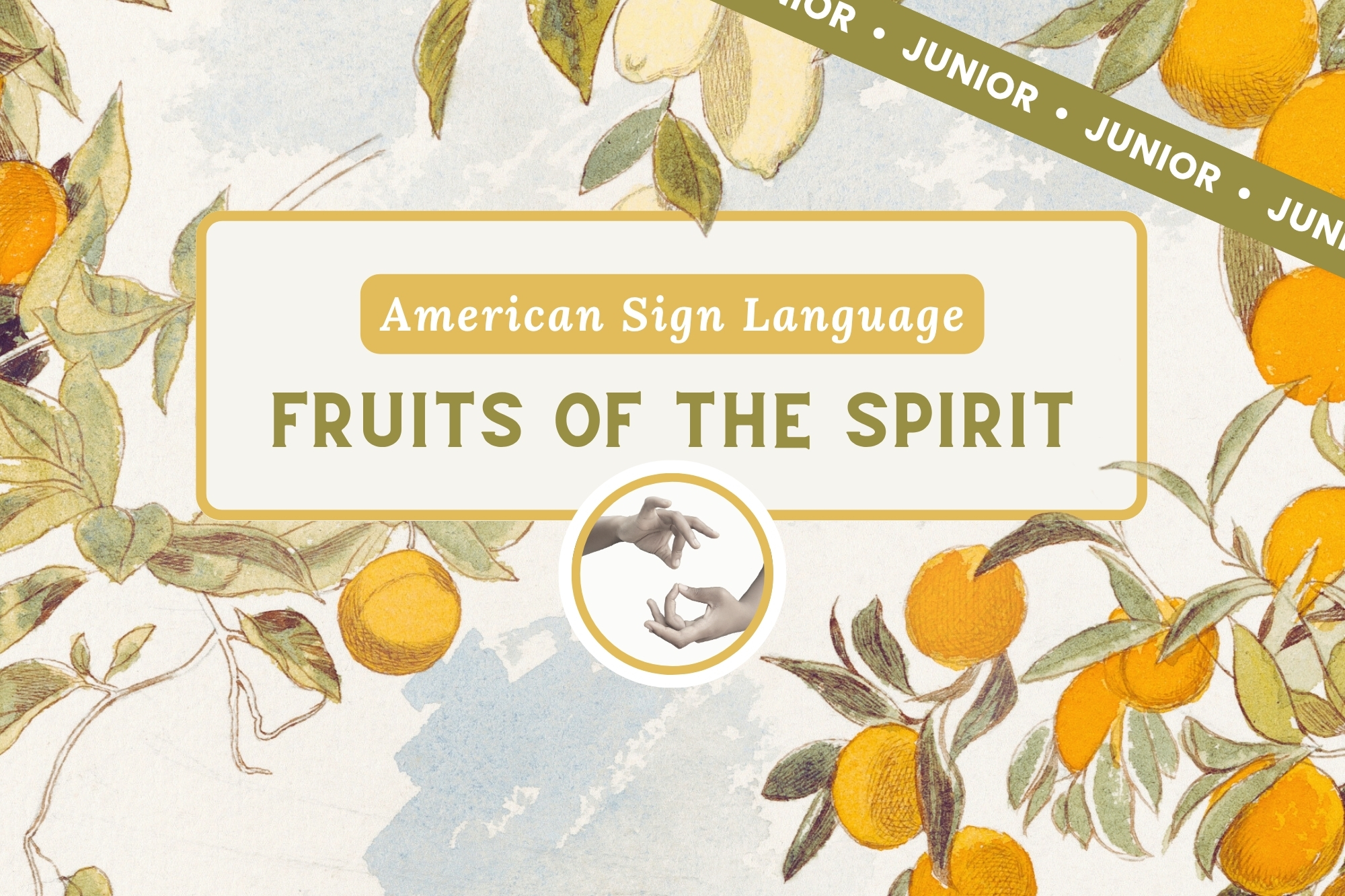 Fruits of the Spirit in American Sign Language (Junior) - WonderWell ...